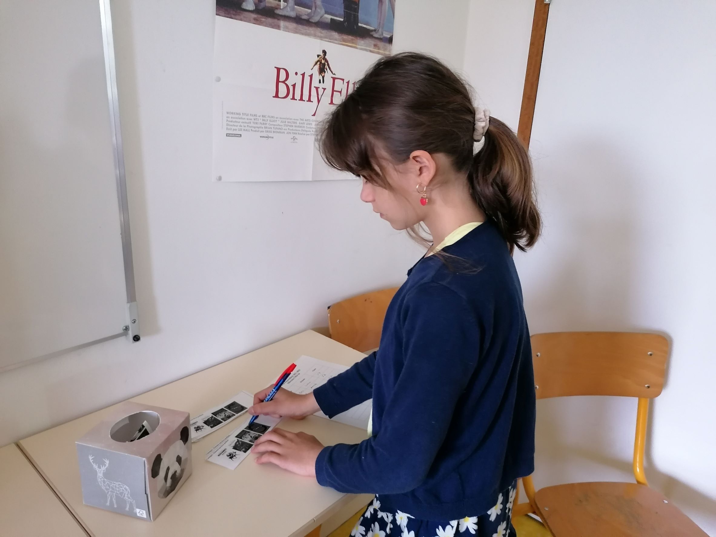 Collège Jean Rostand - 3 rue de Frontignac 87370 Saint-Sulpice-Laurière